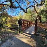 Aliso Creek And Wood Canyon Loop California 860 Reviews Map Alltrails