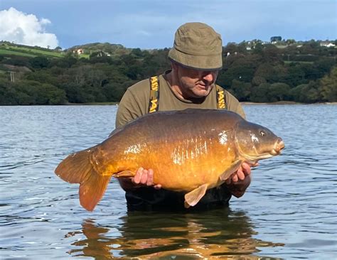 Gallery Prime Baits