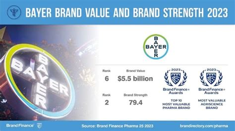 Zsófia Szakony On Linkedin Teambayer