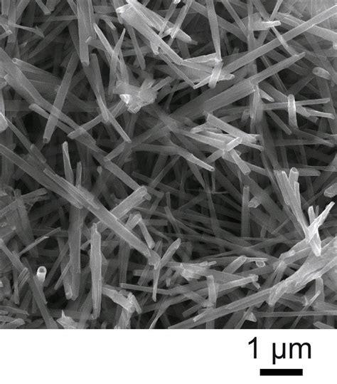 1 Sem Images Showing The Structure Of Dodecylamine Intercalated Vo X