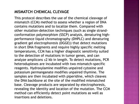 Pcr Molecular Diagnosis Pptx