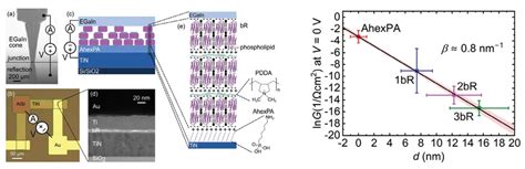 Bio Molecular Electronics Associate Professorship Of Molekularelektronik