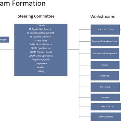 Graphical Representation Of Team Organization For Epic Implementation Download Scientific Diagram