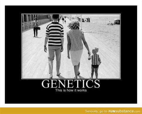Genetics Explained Funsubstance