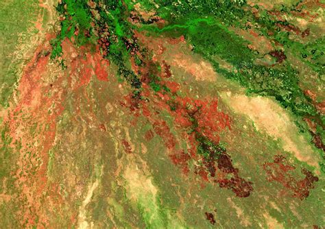 Enabling Climate Action Digital Earth Africa