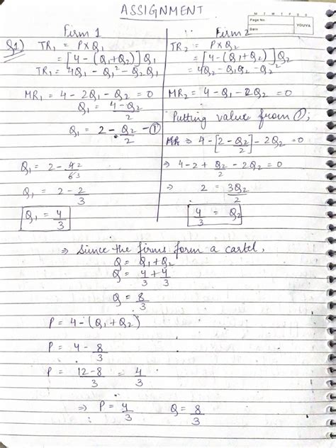 Micro Assignment Pdf