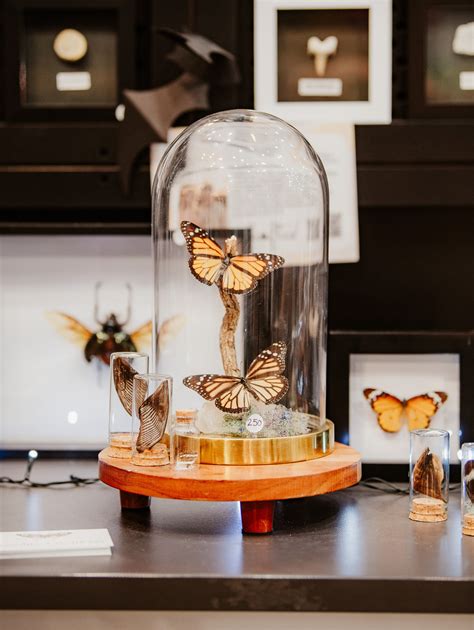 Vassalite Creations Origins Market