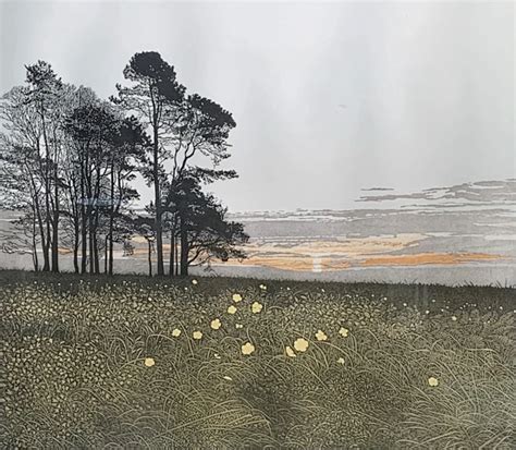 菲尔·格林伍德 （2） 每日欣赏 小红书 花瓣网