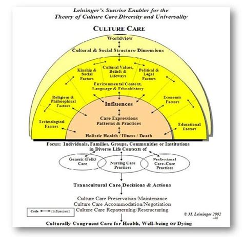Theory Model Madeleine M Leininger