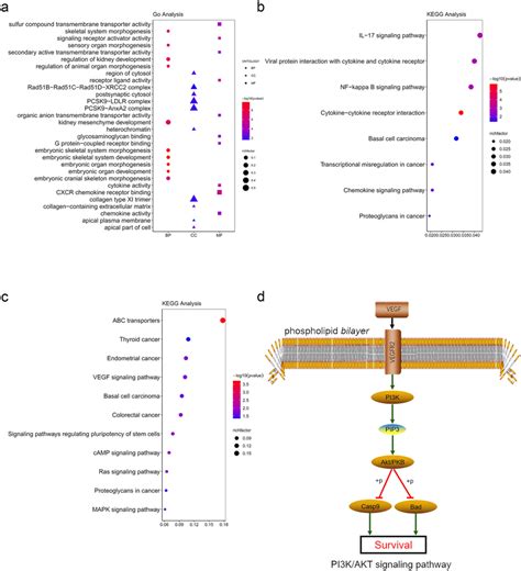 functional enrichment analysis a go functions of demrna the