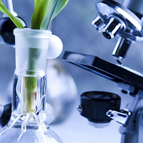 Biochemistry Abwa Medical College