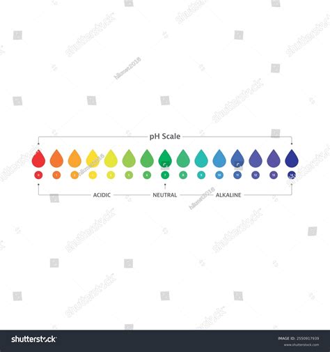 Water Drop Ph Scale Ph Scale Stock Vector Royalty Free 2550917939