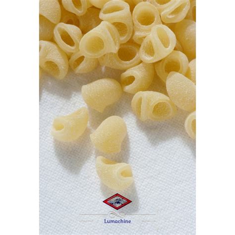 Lumachine Setaro Pasta