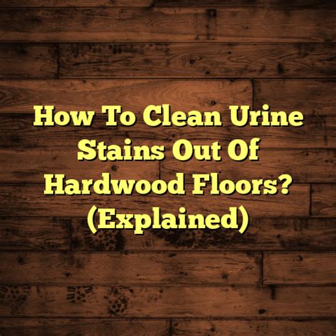 How To Clean Urine Stains Out Of Hardwood Floors Explained