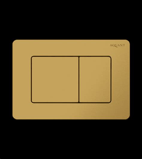 Brushed Gold Stainless Steel Flush Plate Aquant