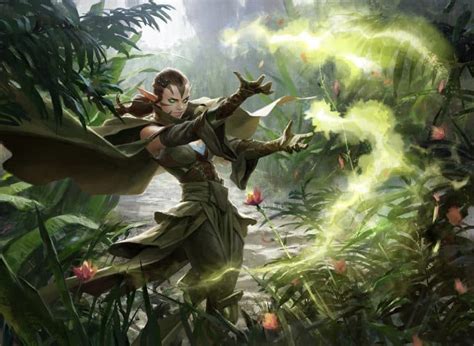 Druid Subclasses Overview Arcane Eye