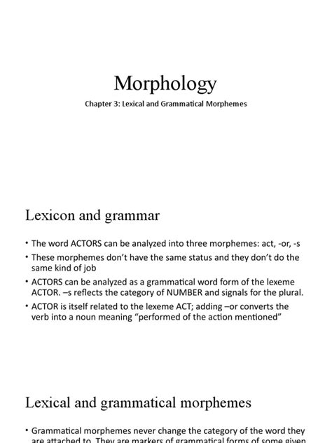 Morphology Chapter 3 Pdf Morphology Linguistics Lexicon