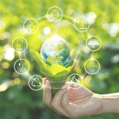 Sustainability And Digitalization