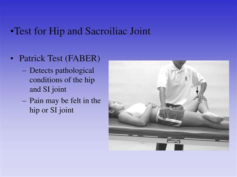 Chapter 21 The Thigh Hip Groin And Pelvis Ppt Download