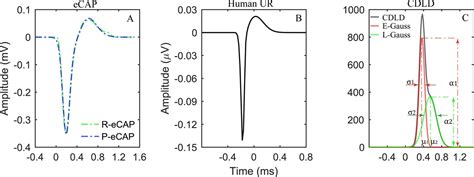Speech Perception Performance In Cochlear Implant Recipients Ear And Hearing