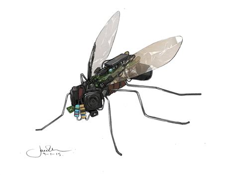 A Drawing Of A Fly Insect With Many Small Objects On It S Back Legs