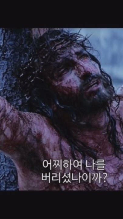 얼마나 아프셨나 예수고난 십자가사랑 사순절 사순절찬양 Shorts Youtube