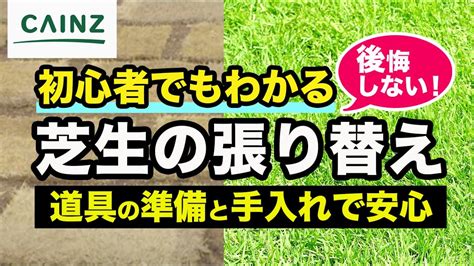 初心者でも後悔しない芝生の張り方と手入れ｜芝生の張り替え【カインズhowto】 Youtube
