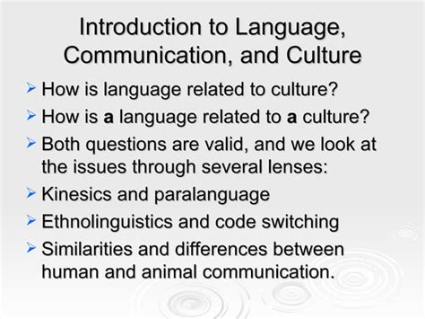 Language And Culture Ppt