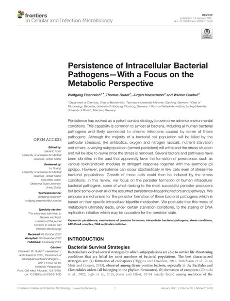 Pdf Persistence Of Intracellular Bacterial Pathogens—with A Focus On The Metabolic Perspective