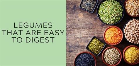 Which Beans Are The Easiest To Digest 2025 Qaqookingwiki
