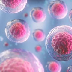 Red Light Therapy Research Clearing Up The Myths Platinumled Therapy