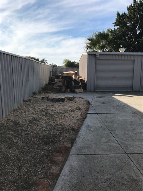 Tree Removal Services Perth Your Trees Our Passion Treeline Perth