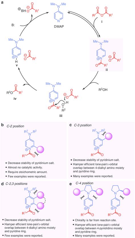 Nucleophilic Catalyst In Acylation Reaction A The Proposed And
