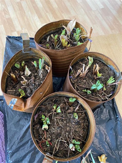 Cogs At Compass Everyday Added Cogs At Compass Everyday