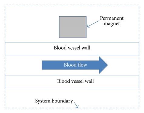 Electromagnetic Fluid Structure Interaction Model Download