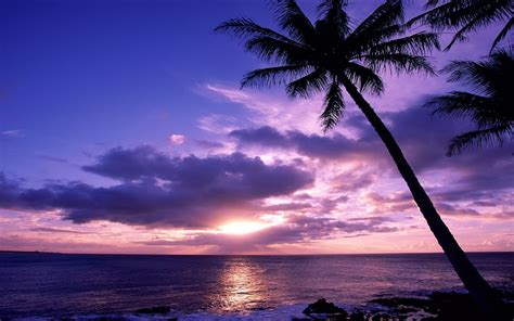 Desktop Wallpapers Best Hd Wallpapers