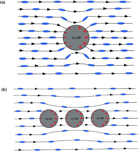 Colour Online Induction Of Dipole Through Induced Charges In Cunp In