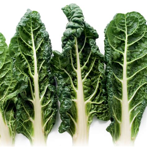 Silverbeet Ormond Fresh Produce