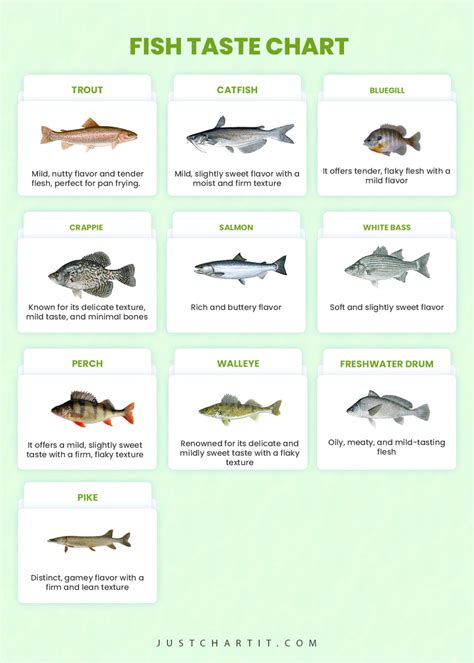 How Does Striper Fish Taste At Luis Silva Blog