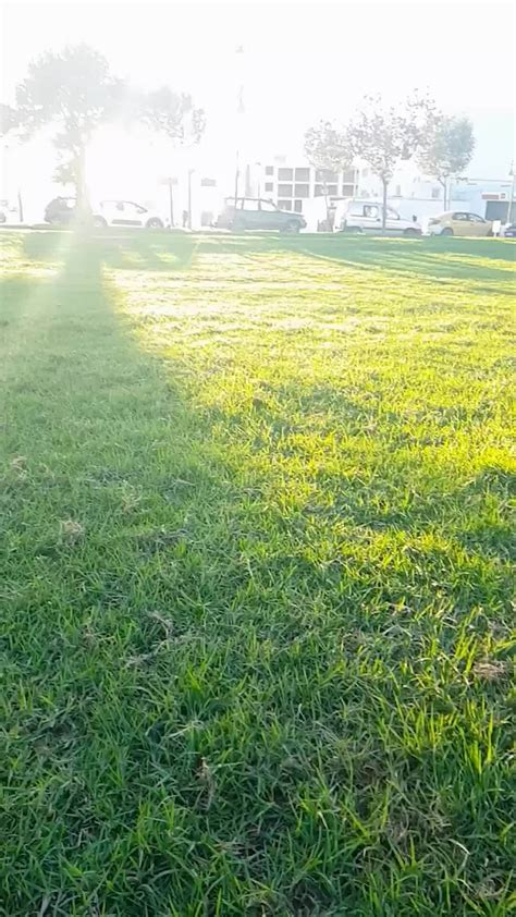 Urban Sunset A Stunning Display Of Sunset Beauty 36051789 Stock Video