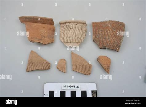 13 Shards 3 Fringe And 10 Shards With Decoration Fragments Pottery 15 X 79 X 79 Cm The