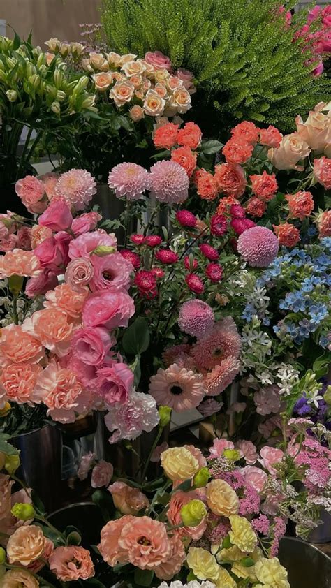 Flower Aesthetics Flower Aesthetic Pretty Flowers Flowers Photography