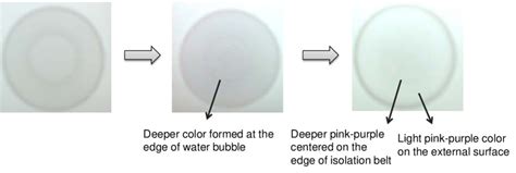 14 Photos With Time After One Drop Of Colloid Iii 2 P0 5 Onto The Tlc Download Scientific