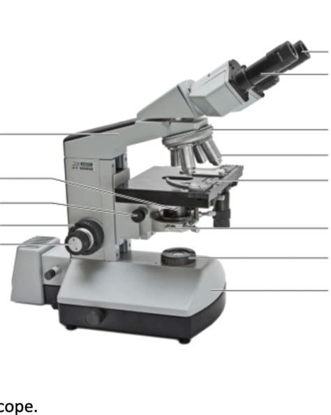 Microscope Labels Diagram Quizlet