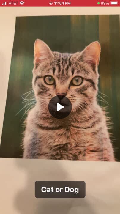 Ai Machinelearning Computervision Deeplearning Pytorch Reactnative Fastapi Websockets