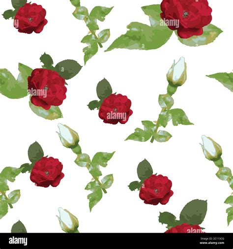 Rose Fabric Texture Cut Out Stock Images And Pictures Alamy