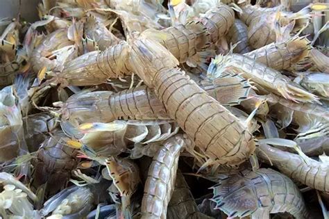 虾姑清蒸椒盐大山谷图库