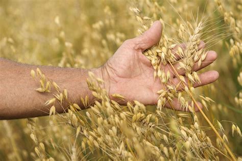 Nutrinor Est Un Leader Au Québec En Matière Dagriculture Durable Nutrinor Coopérative