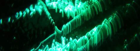 Risk Advanced Analytics And Technology Consulting Bcg