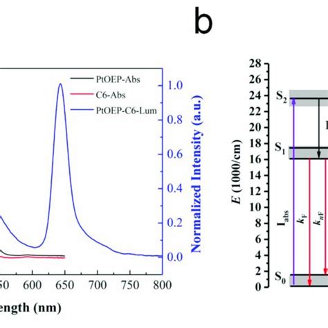 A Typical Normalized Uv Absorption Spectrum Platinum Download